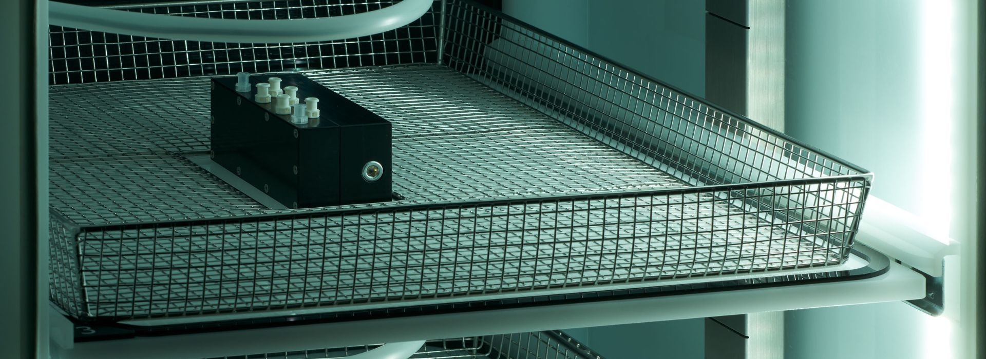 Sunshine Coast Medical Innovators Growing Globally | Invest Sunshine Coast